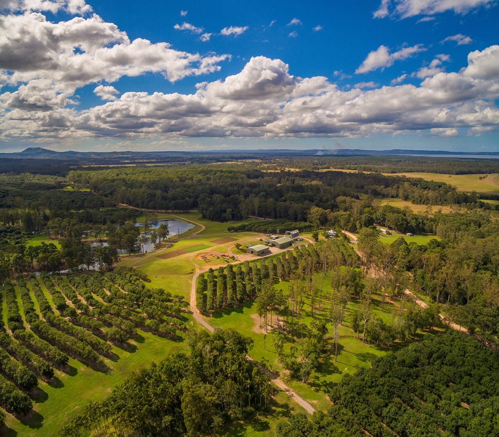 Introducing Maravista Farm - Aromas Noosa
